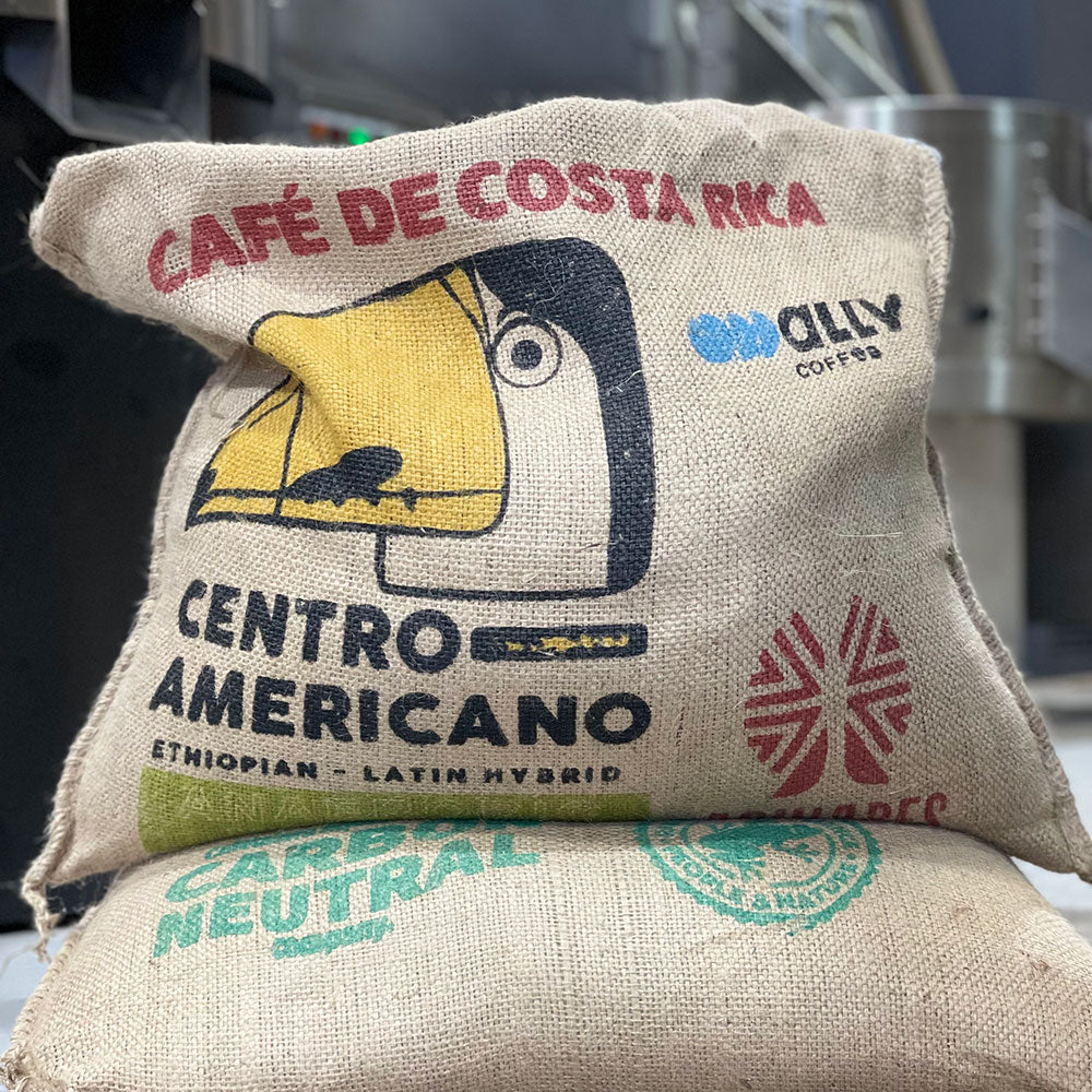 Thomsons Coffee Glasgow, Coffee Bean Roasters And Tea Blenders