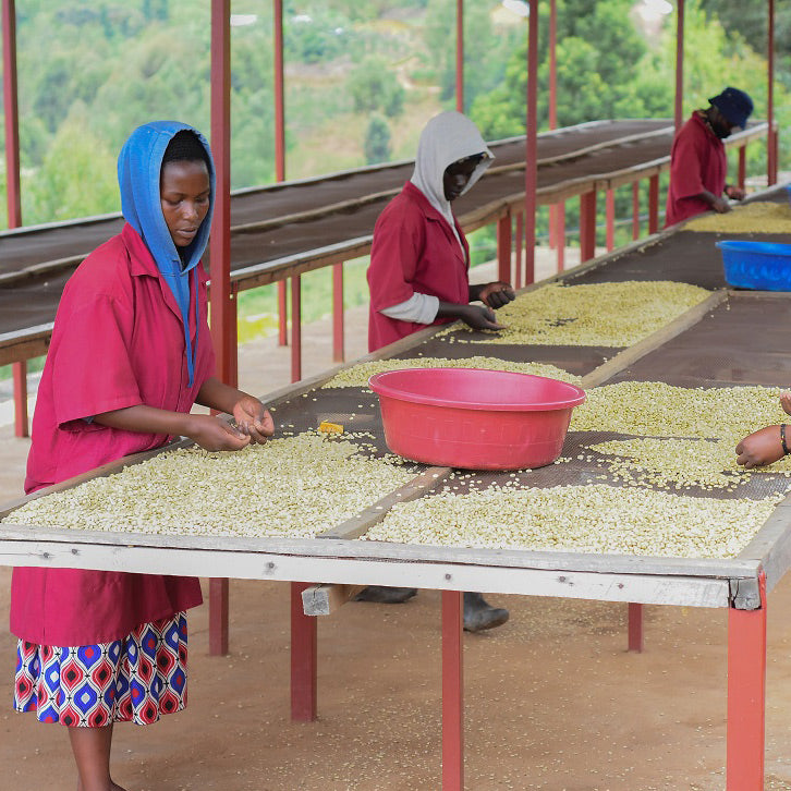 Thomsons Coffee: Scottish Coffee Roasters Since 1841