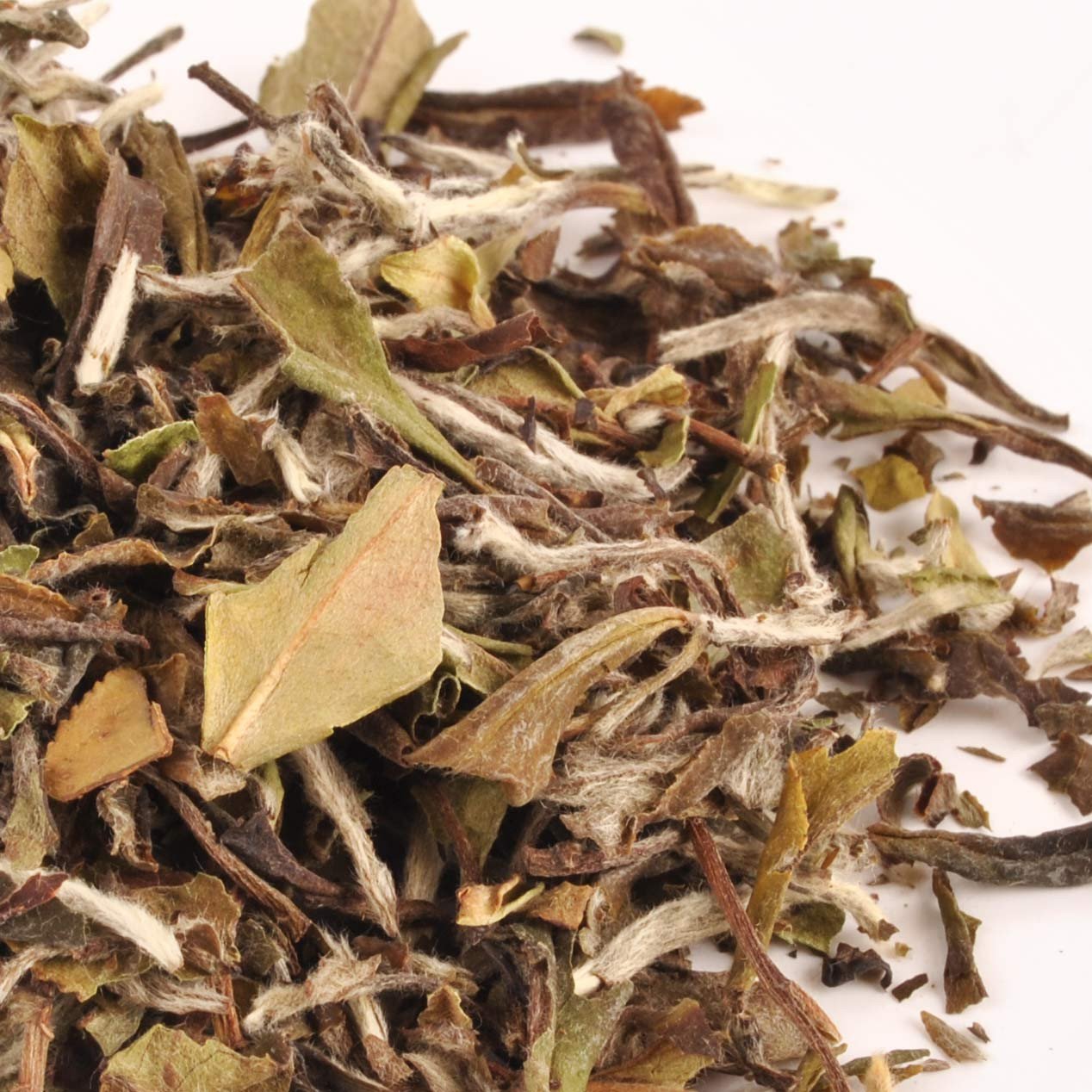 Pai Mu Tan - 100g – Thomson's Coffee